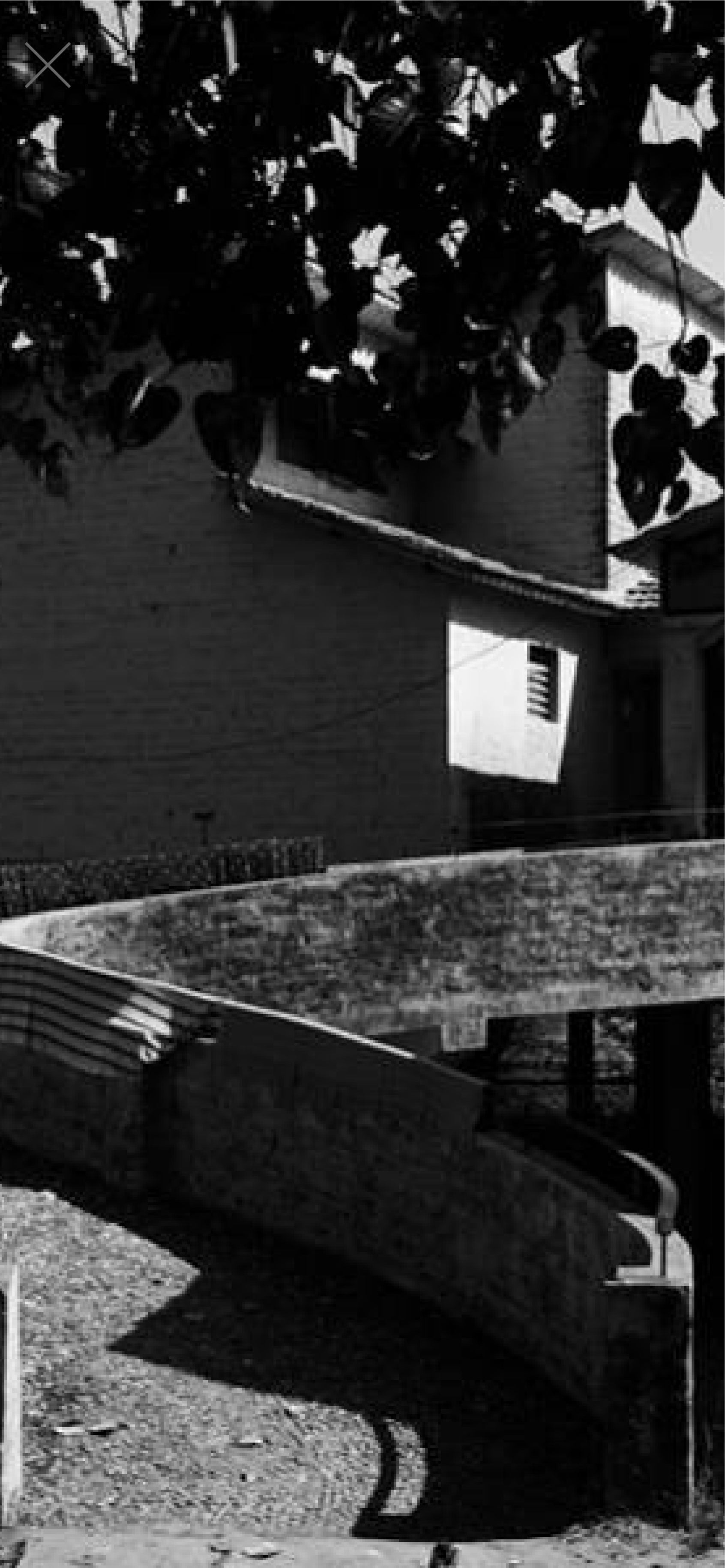 Welcome to The Sense of Behno - behno